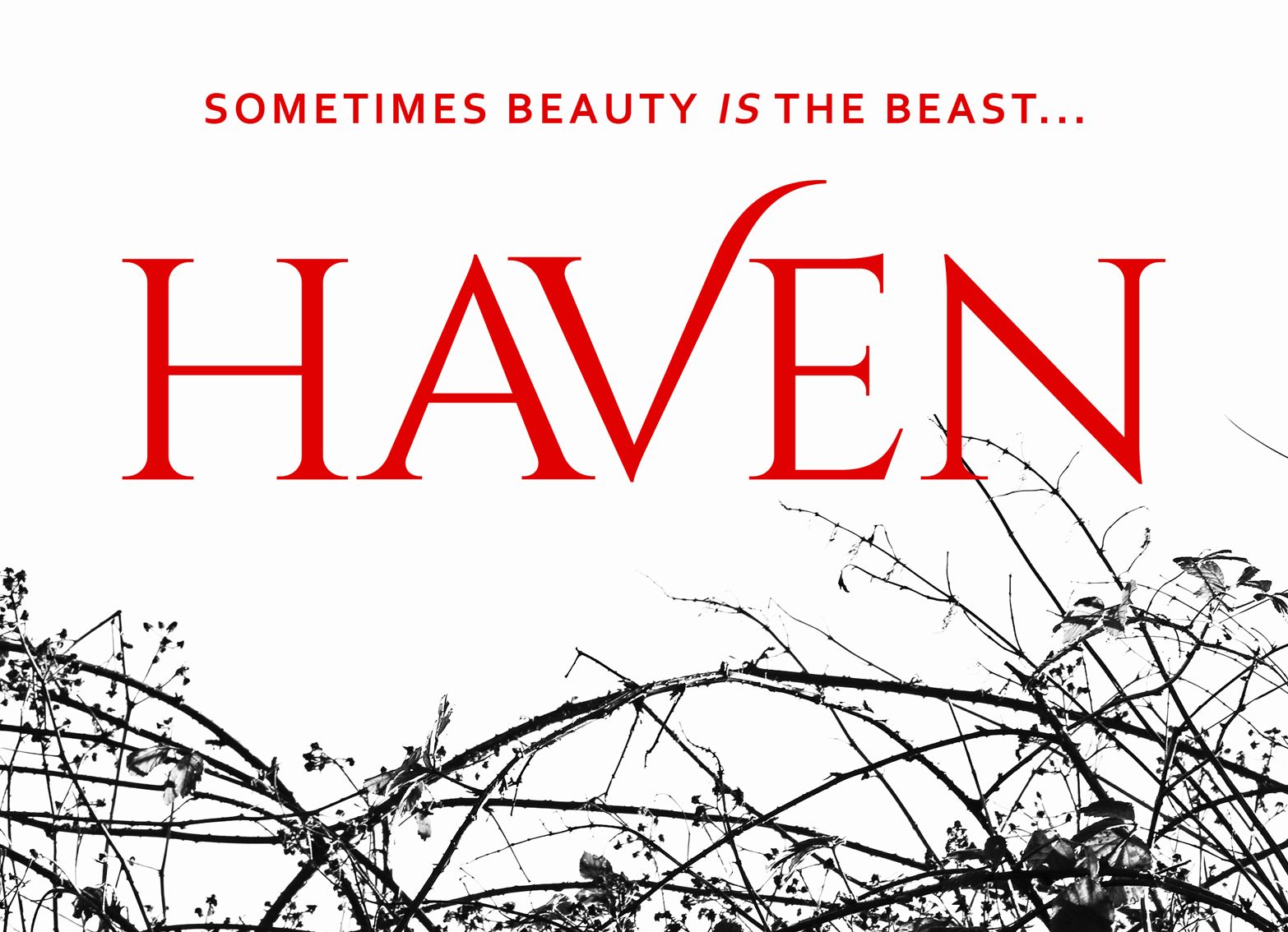 Rockstar Book Tours: 'Haven' is 'Beauty & the Beast' Meets 'Beautiful ...