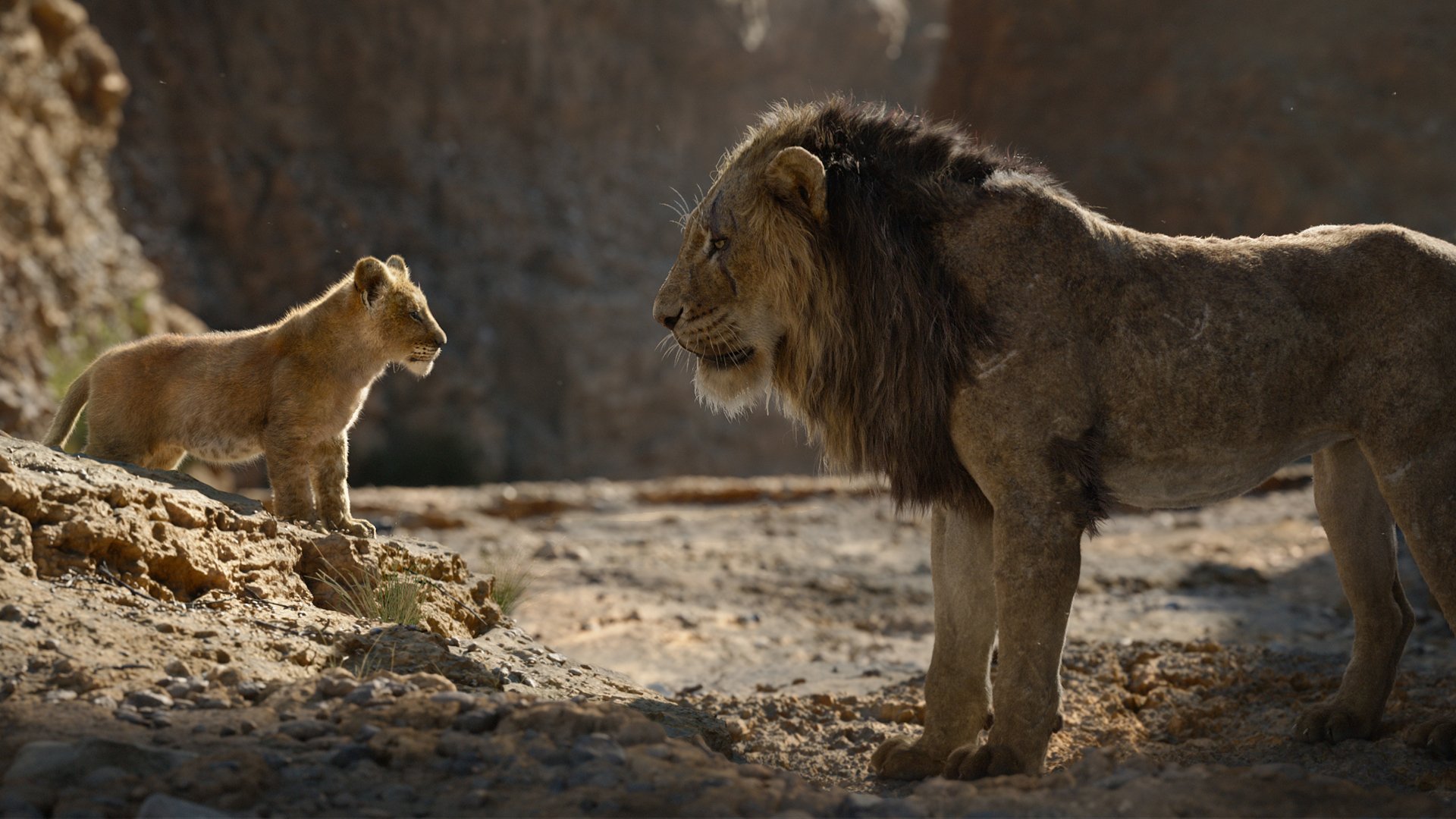'The Lion King' is a Lifeless Remake of a True Classic — Nerdophiles