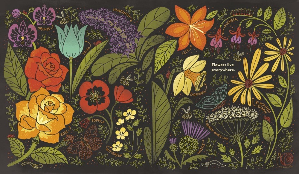 'What's Inside A Flower' Takes Budding Young Scientists Inside Flowers ...