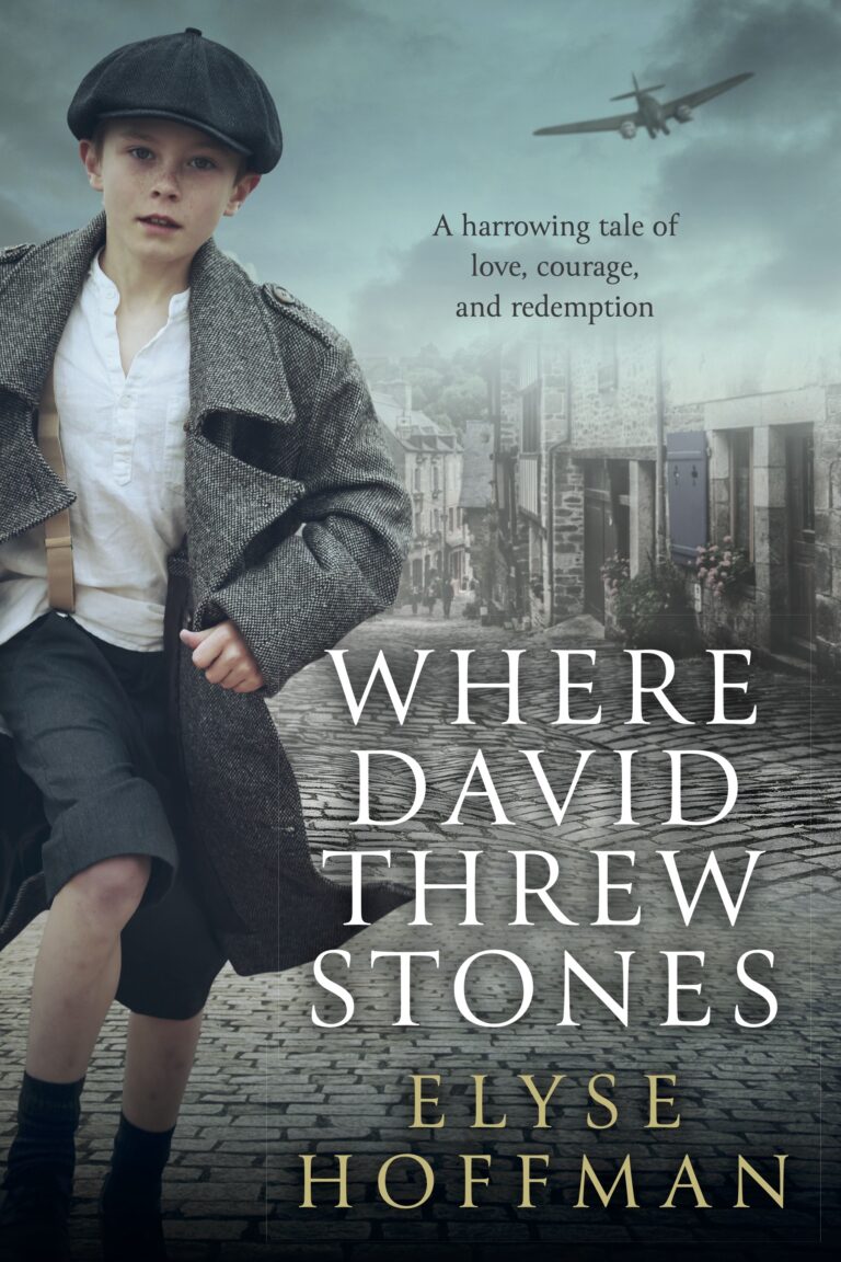 Rockstar Book Tours: Where David Threw Stones by Elyse Hoffman ...
