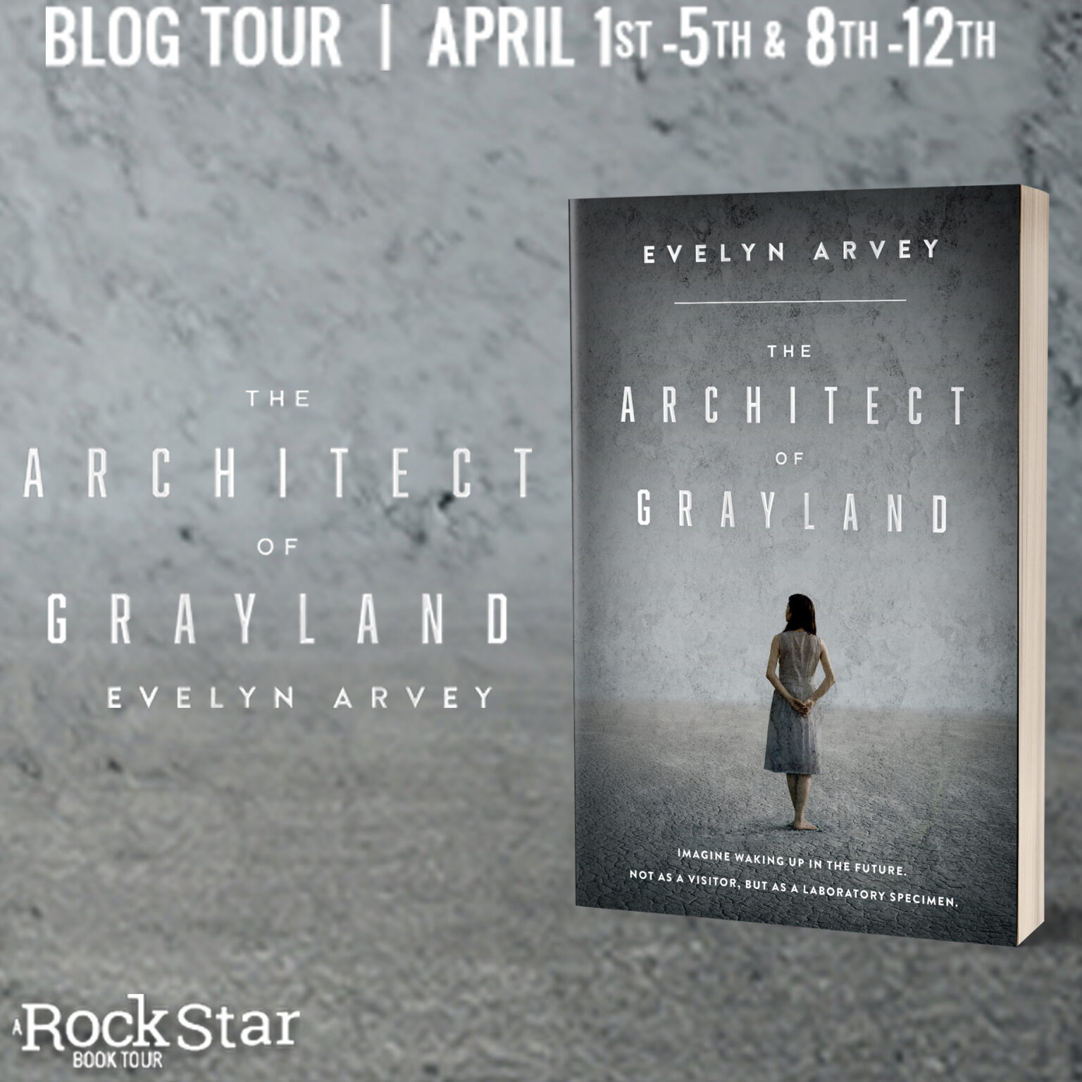 Rockstar Book Tours: ‘Architect of Grayland’ by Evelyn Arvey [Guest ...